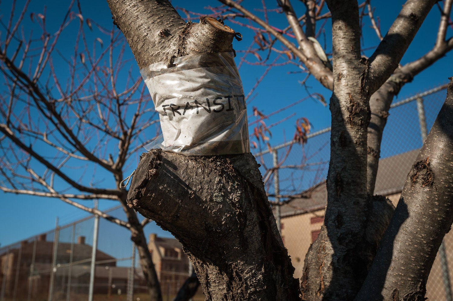 Massachusetts Correctional Institution Norfolk - Boston's Hidden Sacred ...